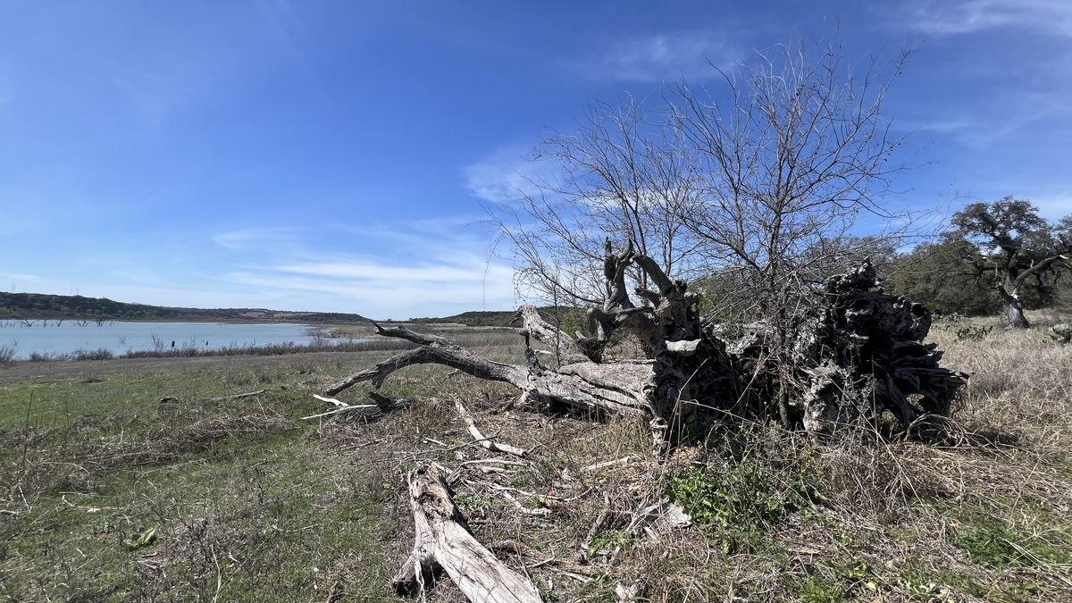 A Guide to Lake Georgetown’s Good Water Loop – The Adventures of the ...