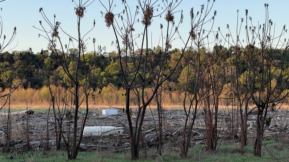 A Guide to Lake Georgetown’s Good Water Loop – The Adventures of the ...